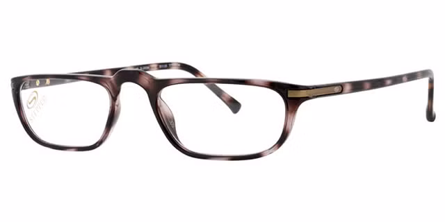 Stepper Eyewear Glasses. Free Basic Lenses - SelectSpecs